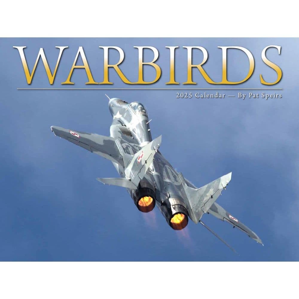 Amazon.com: Tide-Mark, Warbirds of WWII 2025 Wall Calendar : Office ...