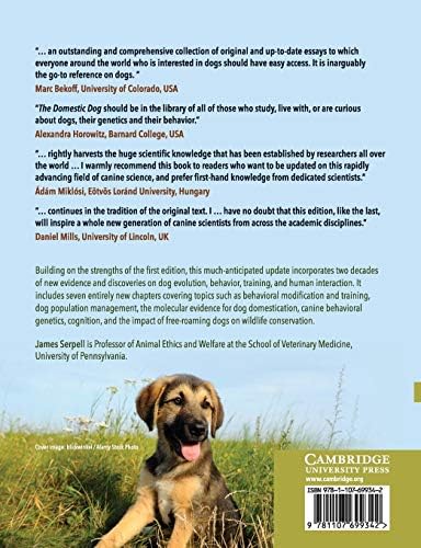 How Did Dogs Evolved With Humans