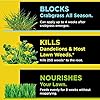 Amazon.com : Preen One Lawncare Weed &amp;amp;amp;amp;amp;amp; Feed ...