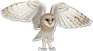 Amazon.com: Barn Owl Wing Spread 12 inch Static Cling