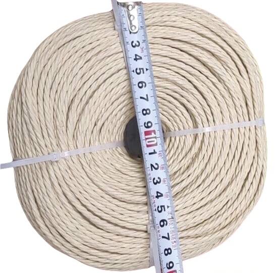 Natural Paper Cord Texture