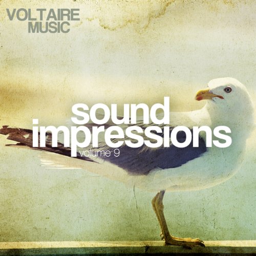 Amazon.com: Sound Impressions, Vol. 9 : VARIOUS ARTISTS: Digital Music