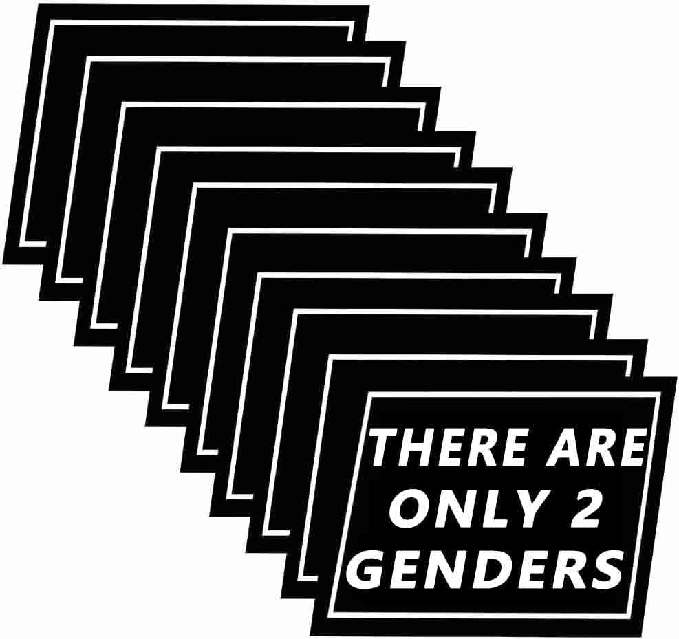 Amazon.com - 10 Pack There are Only Two Genders Tee Male and Female ...