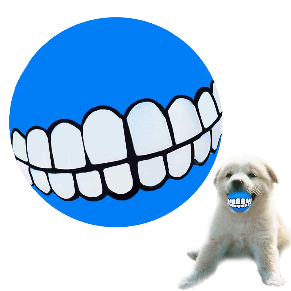 How To Train My Dog To Smile