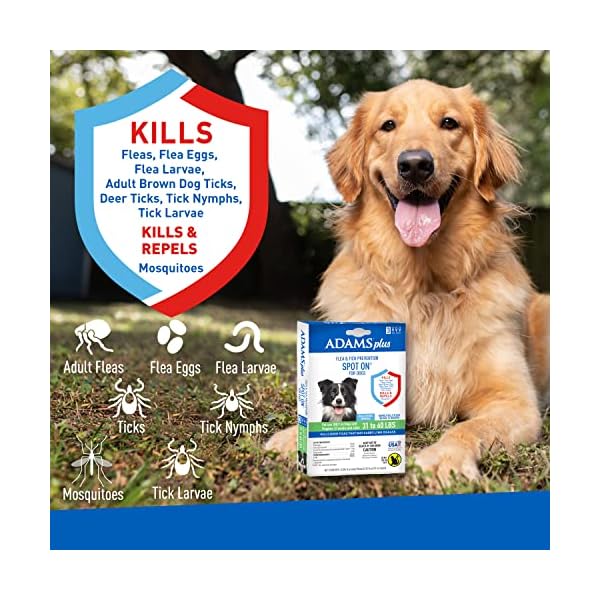 Adams Plus Flea & Tick Prevention Spot On for Dogs 15-30 Pounds, 12 ...