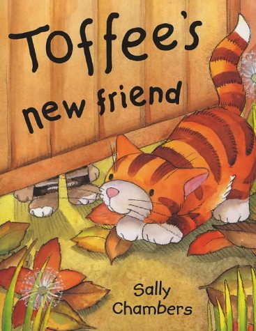 Toffee's New Friend: Amazon.co.uk: Chambers, Sally: 9781853406546: Books