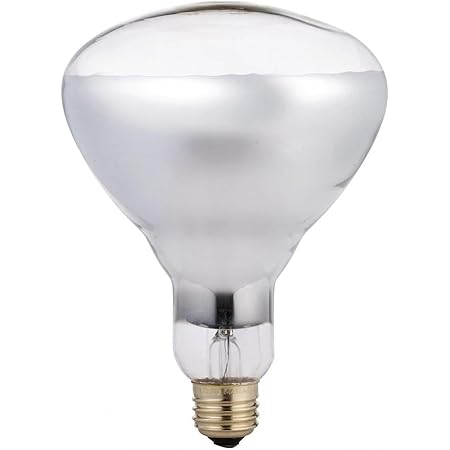 Amazon.com: Philips LED 416750 Heat Lamp 125-Watt BR40 Clear Flood ...
