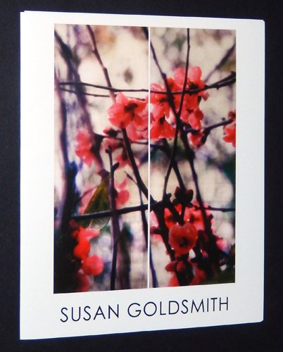 Susan Goldsmith: Objects of Reflection, September 4 - 27, 2014: Susan ...