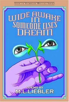 Amazon.com: Wide Awake in Someone Else's Dream (Made in Michigan ...