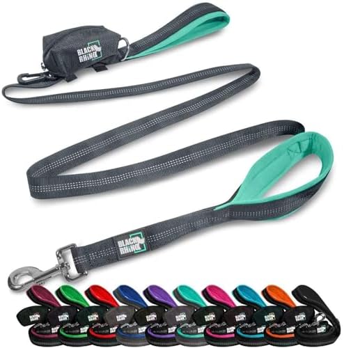 Amazon.com : VOZRELS Dog Leash 6ft, Double Handle Dog Leash with Padded ...