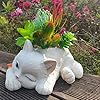 Amazon.com: Uniboho Cat Planter for Indoor Plants - Cute Plant Pots ...