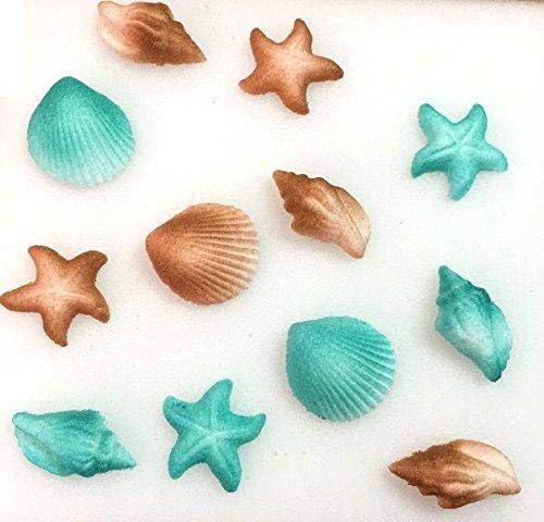 Amazon.com: 12pk Beach Comber Side Sand Water Sea Creatures Sea Shells ...
