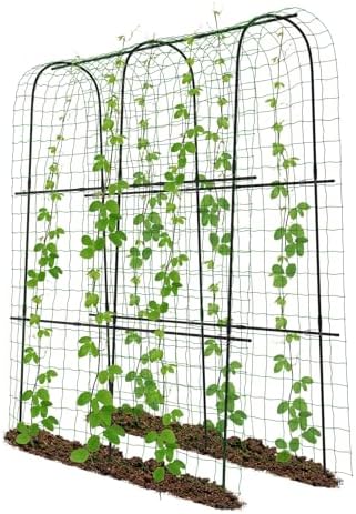 Amazon.com : Garden Trellis Cucumber Trellis for Climbing Plants ...