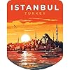 Amazon.com: Istanbul Turkey Design B Souvenir Decorative Flat Magnet 2 ...