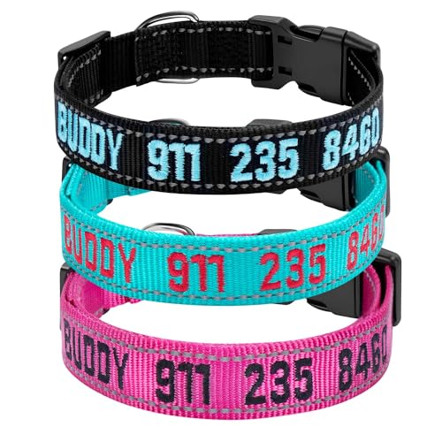 Dog Collars with Name Embroidered – The 15 best products compared ...