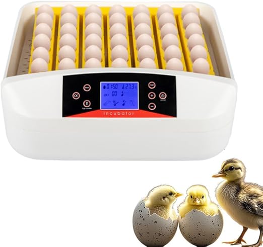 Amazon.com: Automatic Egg Incubator – 56 Egg Capacity, Digital ...