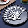 Amazon.com: Berglander Dinner Spoon Set of 12, Stainless Steel Soup ...