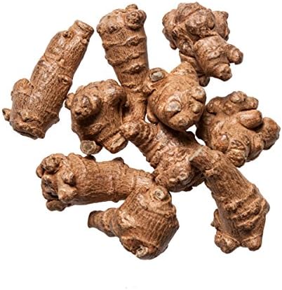 Amazon.com : Tian Qi or San Qi Herb | Pseudoginseng Root | Panax ...