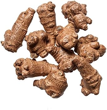 Amazon.com : Tian Qi or San Qi Herb | Pseudoginseng Root | Panax ...