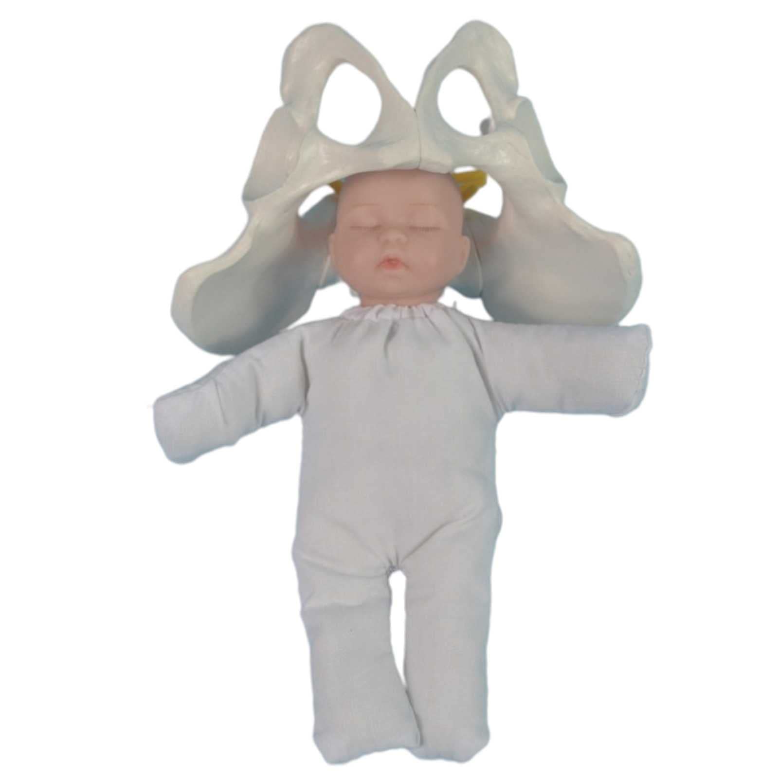 Buy HAWFHH Pelvis Model, Midwifery Training Model, Tandard Childbirth ...