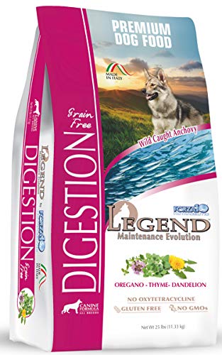 Revamp Your Pooch's Digestive System with These 10 Best Dog Foods for ...