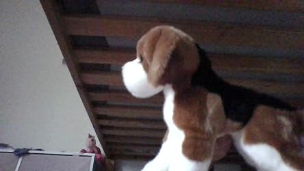 Amazon.com: Douglas Bernie Beagle Dog Plush Stuffed Animal : Toys & Games