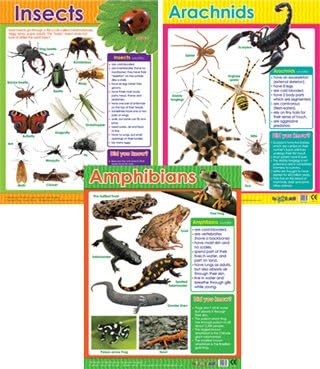Nature Poster Set: Insects, Arachnids, Amphibians Learning Charts for ...