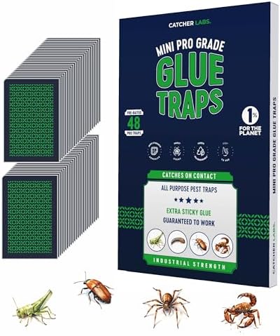 Amazon.com : Catchmaster Max-Catch Mouse & Insect Glue Trap 36pk, Mouse ...