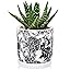 Hollyone 14CM Black Ceramic Plant Pot, Chinoiserie Planter with Saucer ...