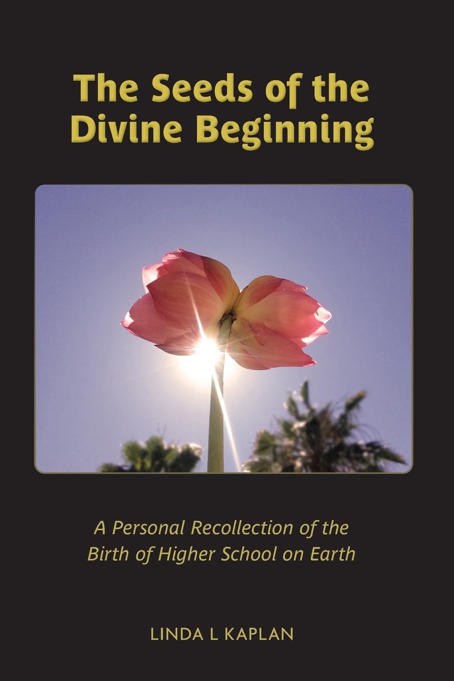 The Seeds of the Divine Beginning: Kaplan, Linda L: 9781733565349 ...