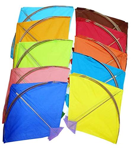 Ambika Kites Traditional Indian Cheel Kites (Multicolour) - Pack of ...
