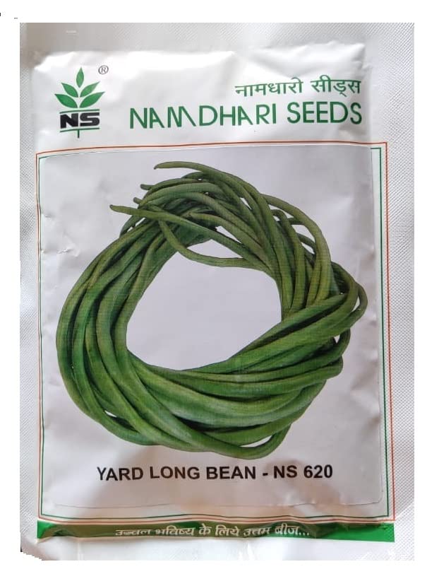 Namdhari, NS 620, YLB - 100 gm : Amazon.in: Garden & Outdoors