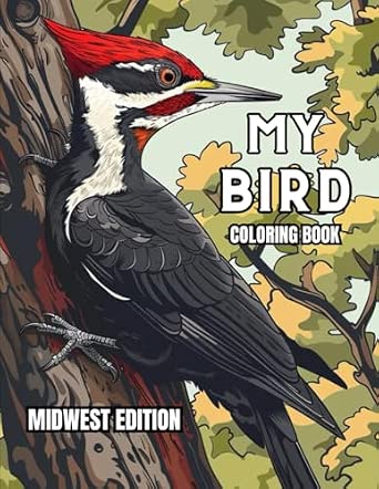 Amazon.com: My Bird Coloring Book: Midwest Edition: 9798334065956: M, S ...