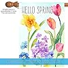 Amazon.com : Toland Home Garden 1012555 Spring Watercolors Spring Flag ...