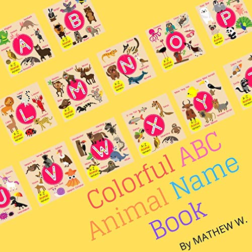 The ABC Colorful Vocabulary Book: The ABC Vocabulary Book for Age 2-5 ...