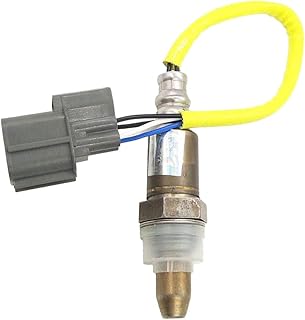 Petrol Pollution: Understanding The Environmental Impact | ShunWaste