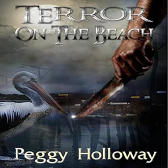 Amazon.com: Terror on the Beach: Judith McCain, Book 3 (Audible Audio ...