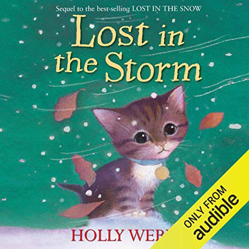 Lost in the Storm (Audio Download): Holly Webb, Phyllida Nash, Audible ...
