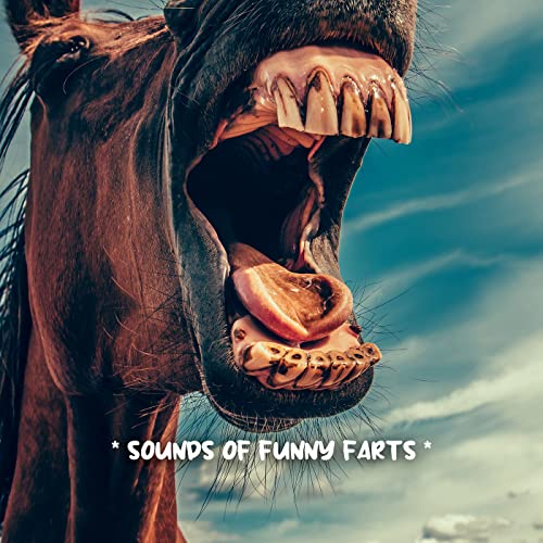 * sounds of funny farts * by Fart Sound Effect, Funny Fart & Funny ...