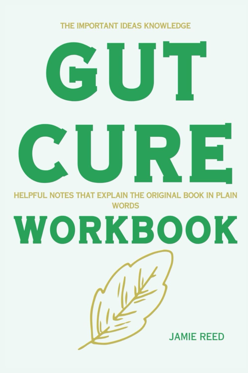 Amazon.com: The Important Ideas Knowledge Gut Cure: Helpful notes that ...