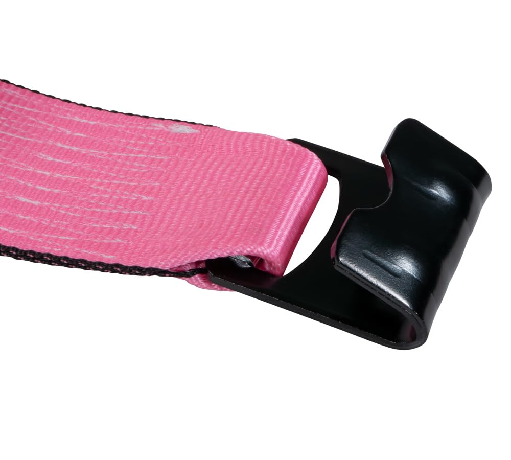 Snapklik.com : Mytee Products 10 Pack Pack 4" X30 Pink Winch Straps
