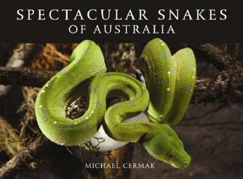 Spectacular Snakes of Australia , Cermak, Michael, Michael Cermak ...
