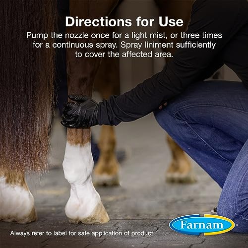 The 27 Best Horse Care Liniments of 2025 [Verified] - Cherry Picks