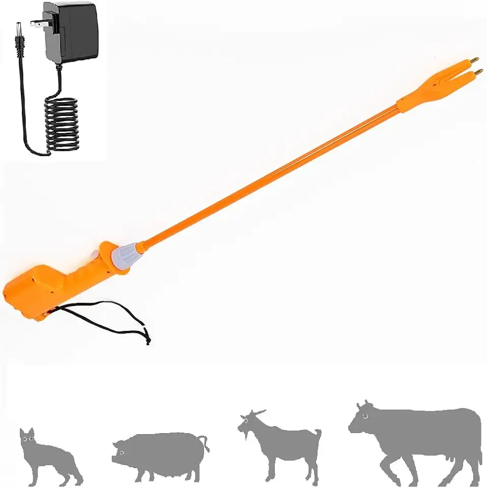 Can Mules Or Donkeys Provide Protection For Livestock? | PetShun