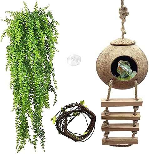 Amazon.com : PINVNBY Crested Gecko Coconut Hut with Ladder,Natural ...