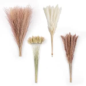Amazon.com: 120pcs 17'' Dried Pampas Bouquet, Short Pompous Grass ...