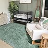 Amazon.com: Sage Green Fluffy Living Room Rugs, Furry Area Rug 5x8 for ...