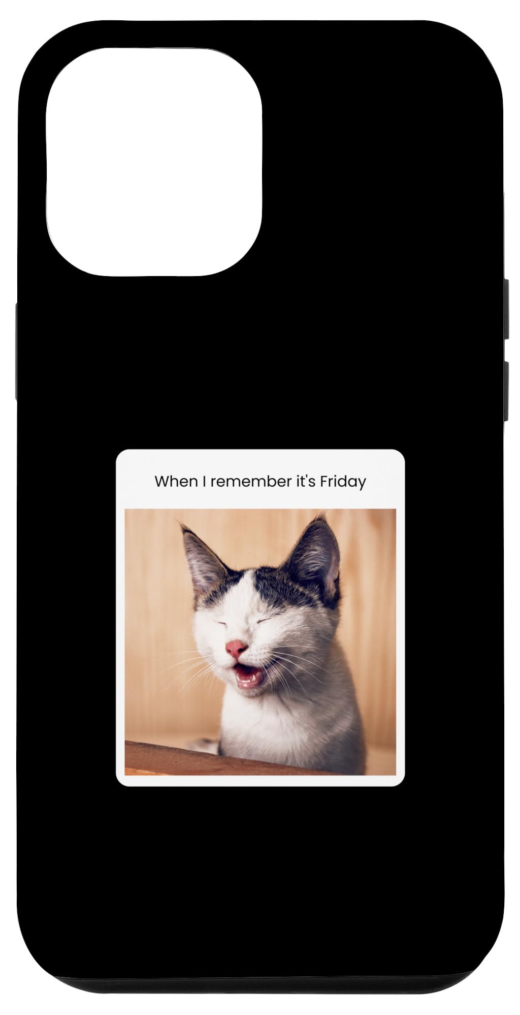 Fraidy Cat Memes Black Friday Cat Memes So Accurate It Hurts