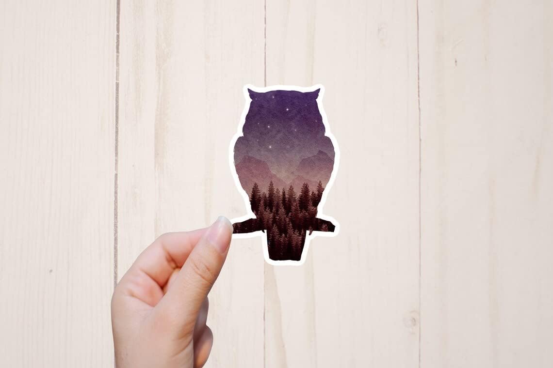 Amazon.com - Owl Nature Night Sky Vinyl Sticker Decal Cars Trucks Vans ...