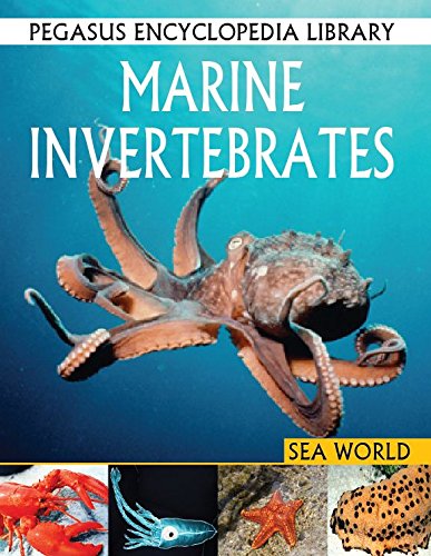 Marine Invertebrates: 1 (Sea World) : Pegasus, Yes: Amazon.in: Books
